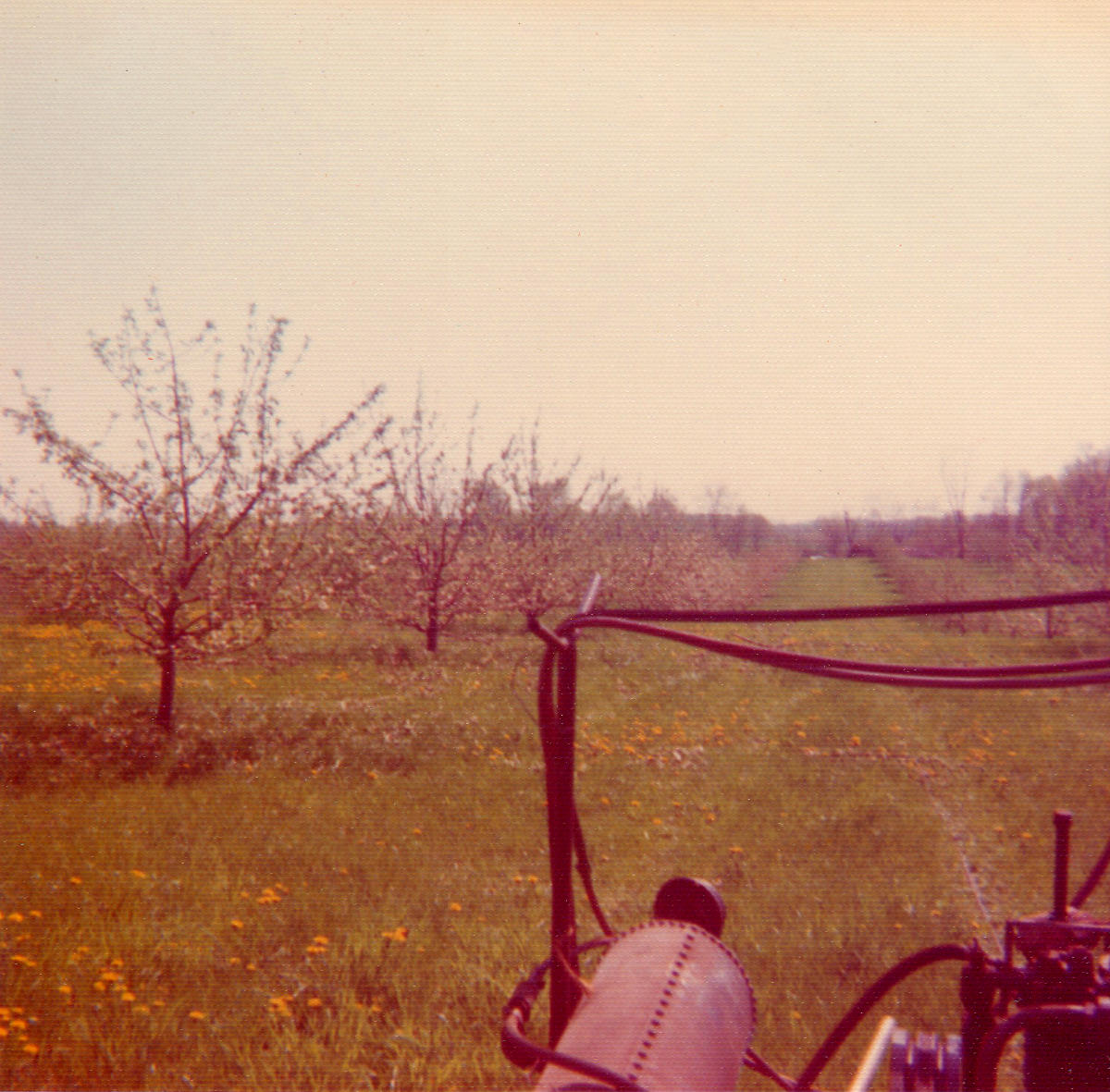04c-pruning in orchard that inspired Thankful 1200 – Doug Howell Music